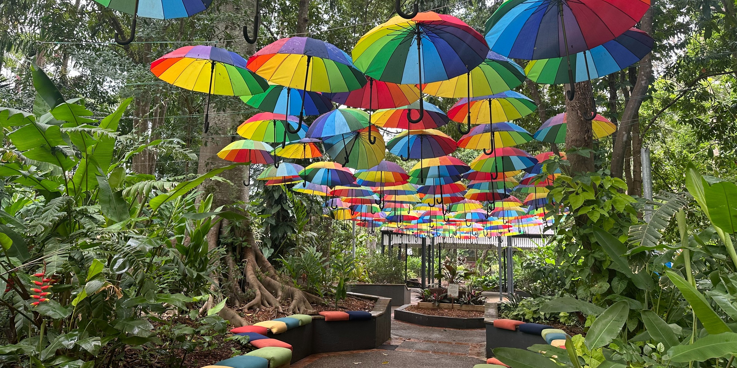 The Ginger Factory | Aussie Bucket List