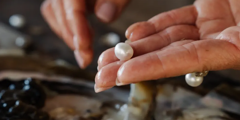 Cygnet Bay Pearl Farm Harvest Tour | Aussie Bucket List