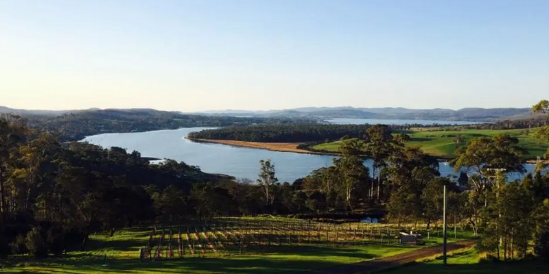 Tamar Valley Wine Tour with Lunch | Aussie Bucket List